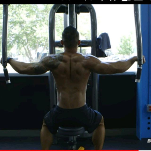 Reverse PEC DEC - Exercise How-to - Workout Trainer by Skimble