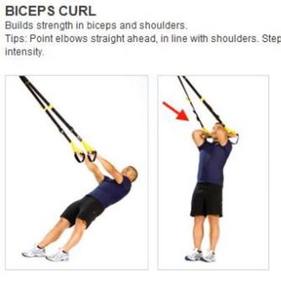 TRX Triceps Extension - Exercise How-to - Workout Trainer by Skimble