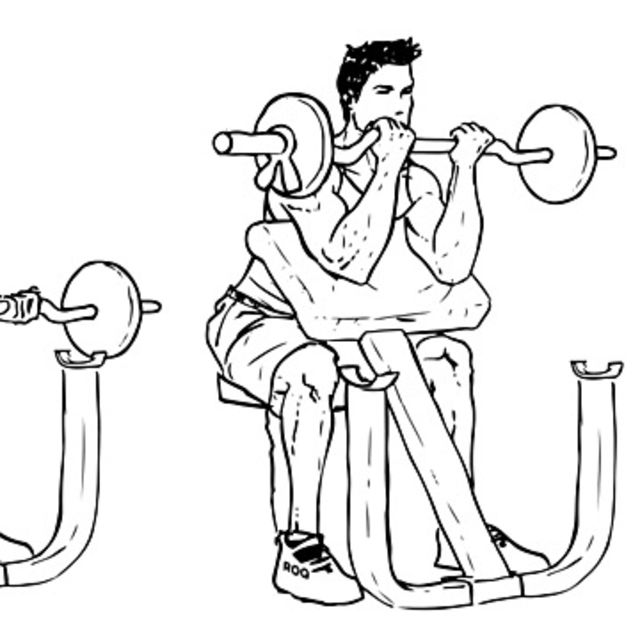 EZ Bar Preacher Curls by Noel Fernandes - Exercise How-to - Skimble