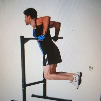 Dips On Straight Bar by Alejandro K. - Exercise How-to - Skimble