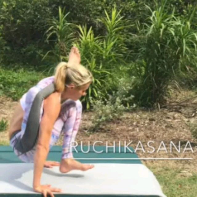 Bend Front Leg Push Up With Both Hands by 𝔻𝕖𝕤𝕖𝕣𝕥 𝔽𝕠𝕩🦊 🌟 - Exercise How ...