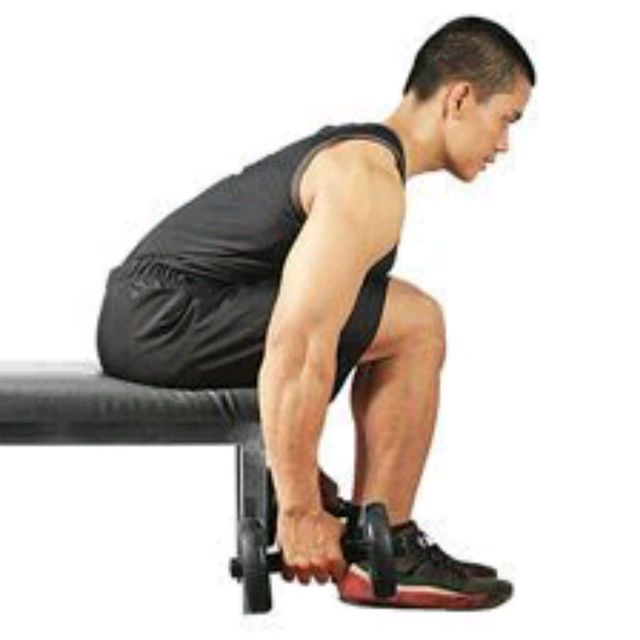 Seated Bent Over Rows - Exercise How-to - Skimble