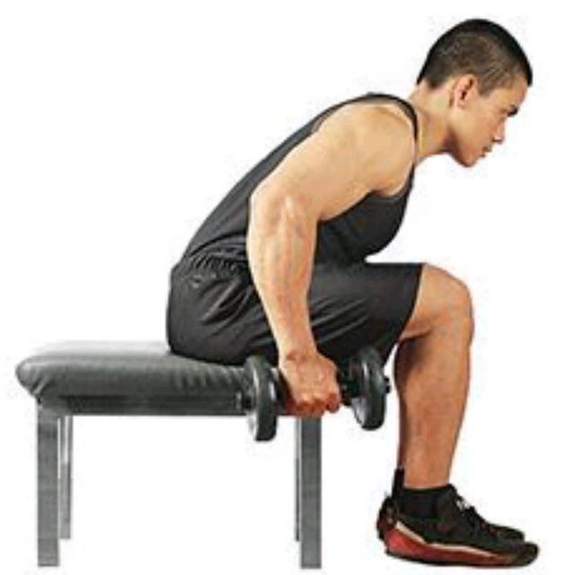 Seated Bent Over Rows by Dennis Richardson - Exercise How-to - Skimble