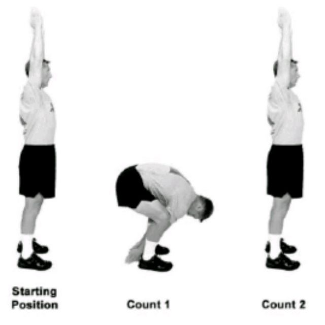 Bend And Reach - Exercise How-to - Workout Trainer by Skimble