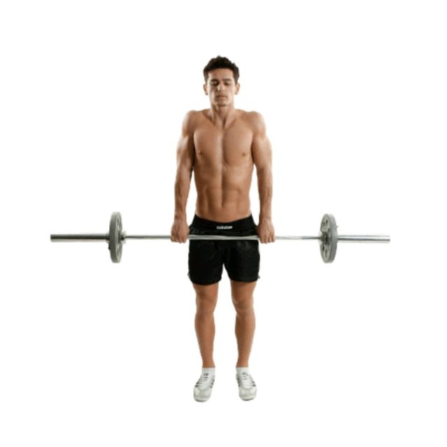 Back - Barbell Shrugs by Saranyapong T. - Exercise How-to - Skimble