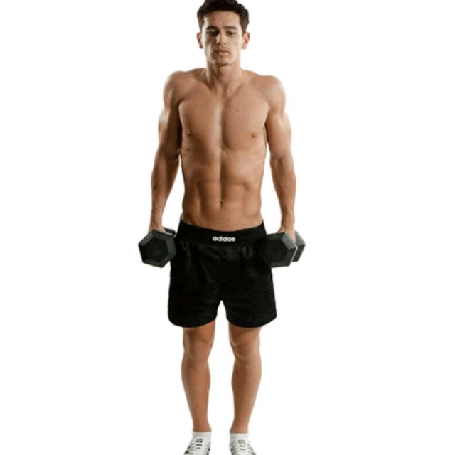 Back - Dumbbell Shrugs by Saranyapong T. - Exercise How-to - Skimble