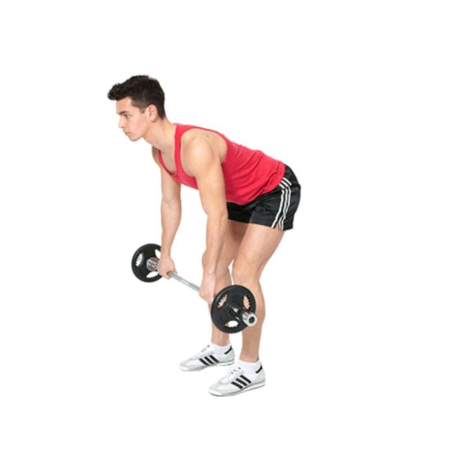 Back - Bent Row Overs - Exercise How-to - Skimble