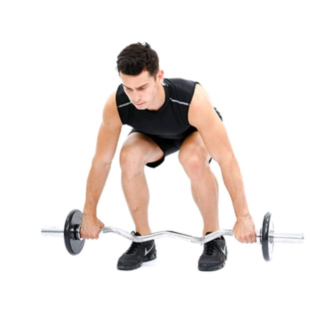 Back - Curl Bar Row - Exercise How-to - Workout Trainer by Skimble