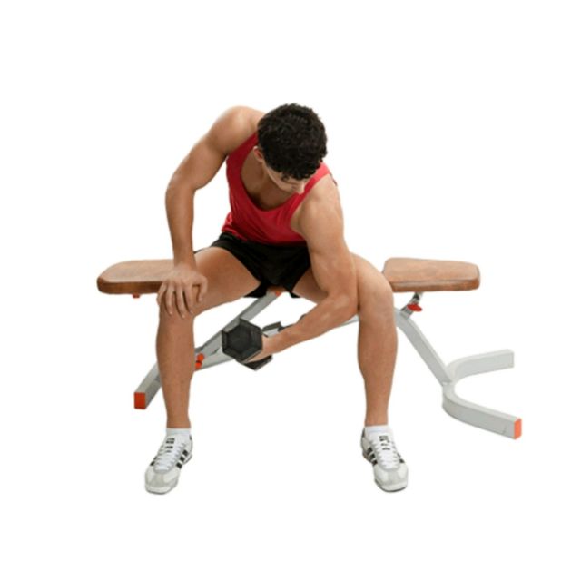 Biceps - Concentration Curls - Exercise How-to - Skimble