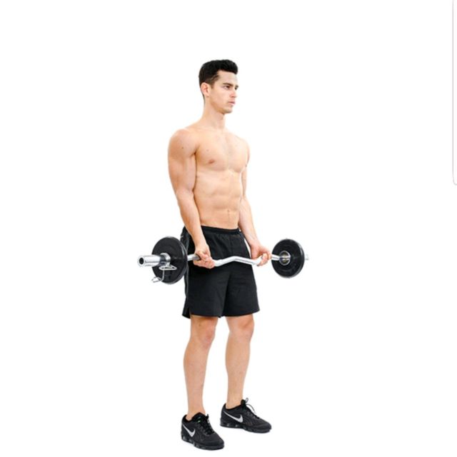 Biceps - EZ Curl Bar Biceps Curl - Exercise How-to - Skimble