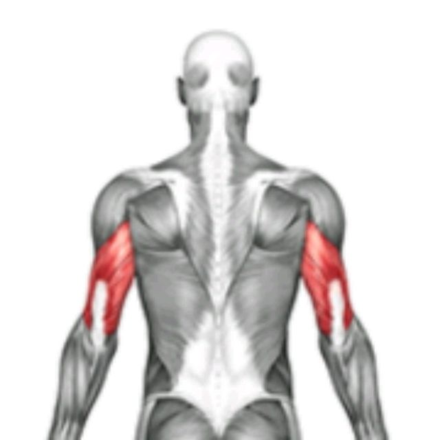 Triceps - Close Grip Bench Press - Exercise How-to - Workout Trainer by ...