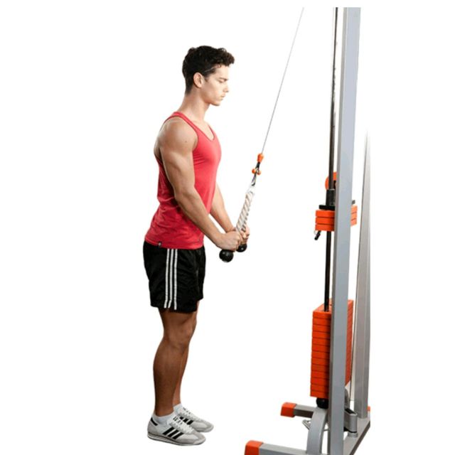 Triceps - Push Down by Saranyapong T. - Exercise How-to - Skimble