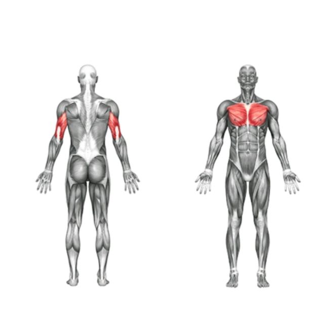 Triceps - Diamond Push Up - Exercise How-to - Workout Trainer by Skimble