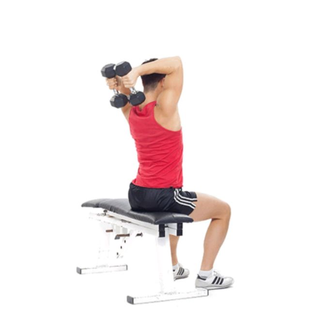 Triceps - Seated Extension - Exercise How-to - Workout Trainer by Skimble