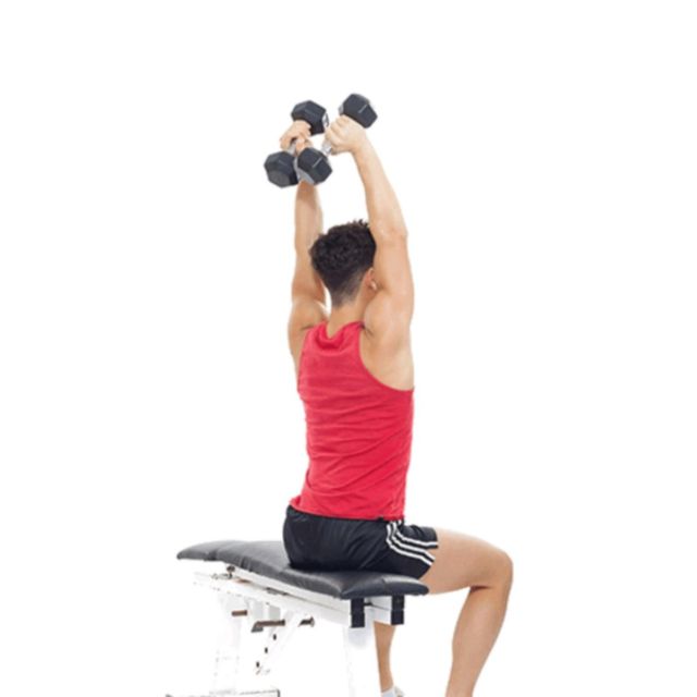 Triceps - Seated Extension by Saranyapong T. - Exercise How-to - Skimble