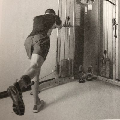 Elastic Band Kneeling Row by Daniel Hoover - Exercise How-to - Skimble