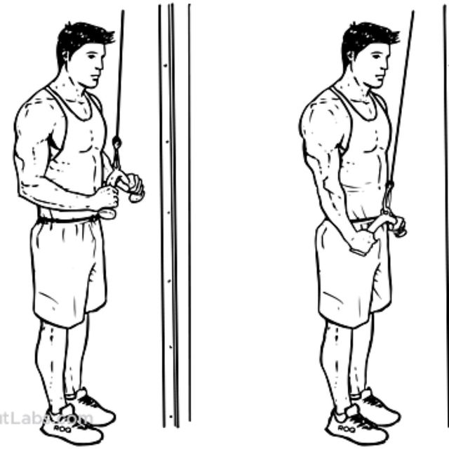 Tricep Push-down PS by Puneet Sharma - Exercise How-to - Skimble