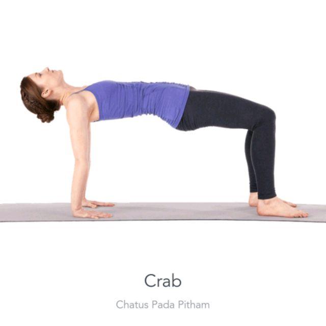 Crab by 𝔻𝕖𝕤𝕖𝕣𝕥 𝔽𝕠𝕩🦊 🌟 - Exercise How-to - Skimble Workout Trainer