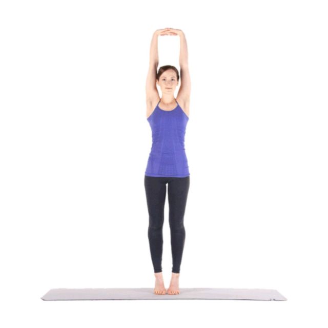 Palm Tree by 𝔻𝕖𝕤𝕖𝕣𝕥 𝔽𝕠𝕩🦊 🌟 - Exercise How-to - Skimble