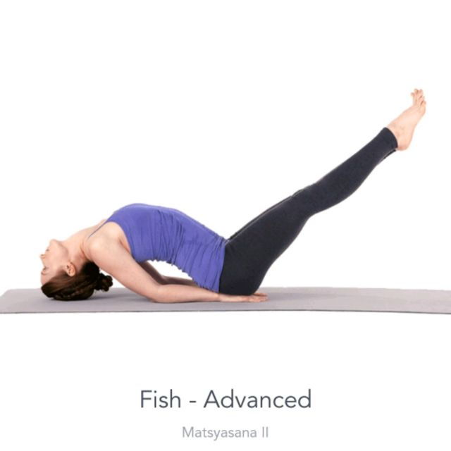 Advanced Fish by 𝔻𝕖𝕤𝕖𝕣𝕥 𝔽𝕠𝕩🦊 🌟 - Exercise How-to - Skimble
