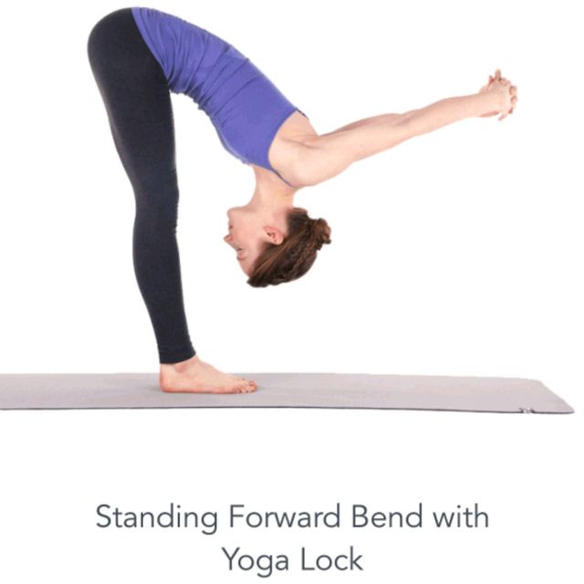 Standing Forward Bend With Yoga lock by 𝔻𝕖𝕤𝕖𝕣𝕥 𝔽𝕠𝕩🦊 🌟 - Exercise How-to ...