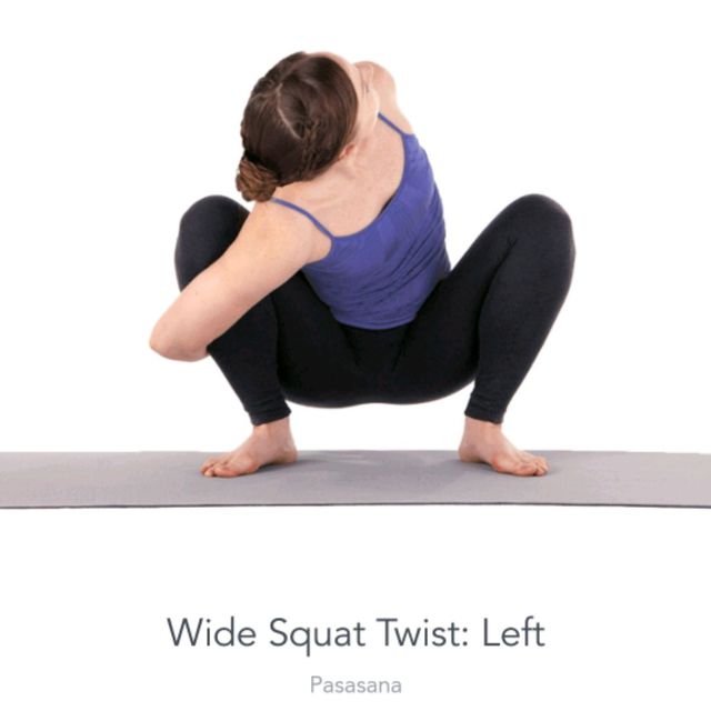 Wide Squat Left by 𝔻𝕖𝕤𝕖𝕣𝕥 𝔽𝕠𝕩🦊 🌟 - Exercise How-to - Skimble