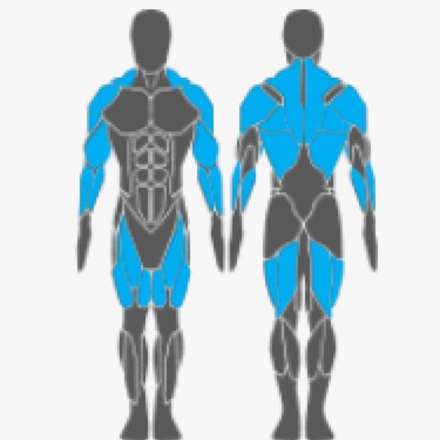 DAY 3 - BACK, TRAPS, BICEPS - Free Full Body Workout by Randy C. - Skimble