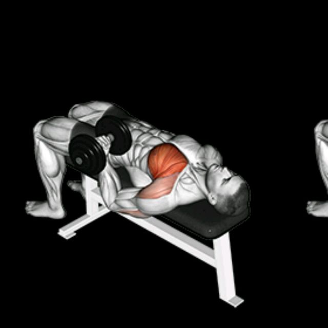 One Arm Chest Press - Exercise How-to - Workout Trainer by Skimble