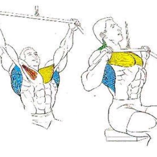 Jalón al Pecho by Marco Paniagua Alfaro - Ejercicio Cómo hacerlo - Skimble