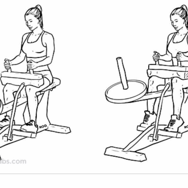Seat Calf Raises by Terry Williams - Exercise How-to - Skimble