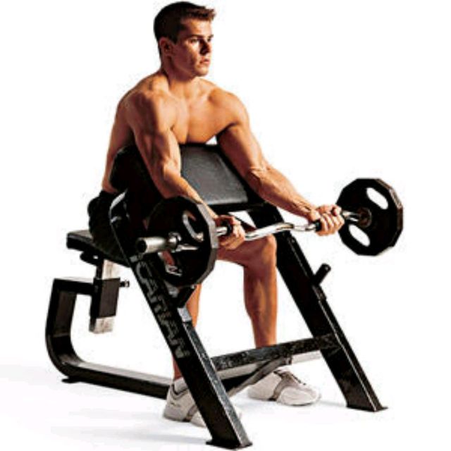 Preacher Curls by Rainer Schmidt - Exercise How-to - Skimble