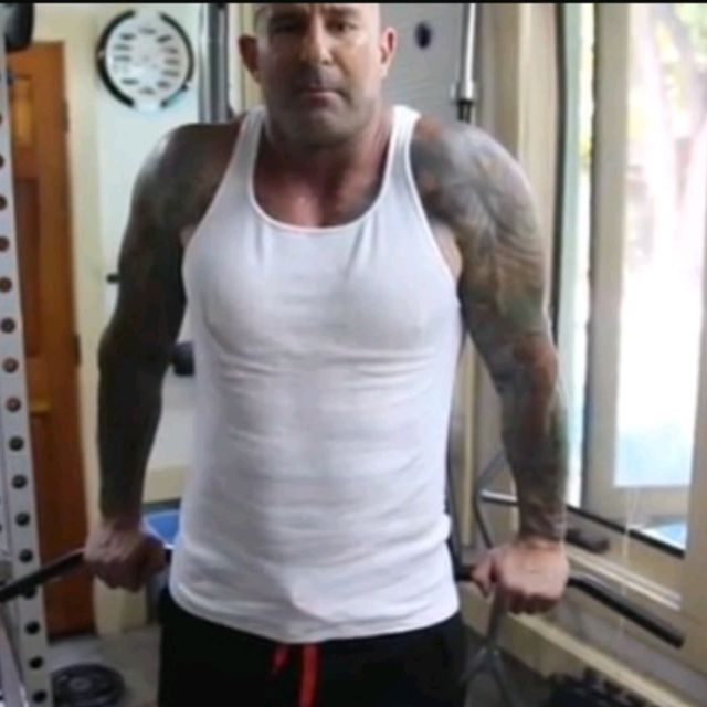 One-Arm Straight Arm Pushdown - Exercise How-to - Workout Trainer by ...