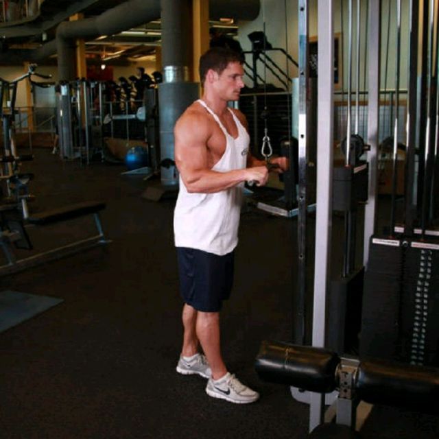 Cable Tricep Pull Down por Elisabetta Bruno - Ejercicio Cómo hacerlo ...