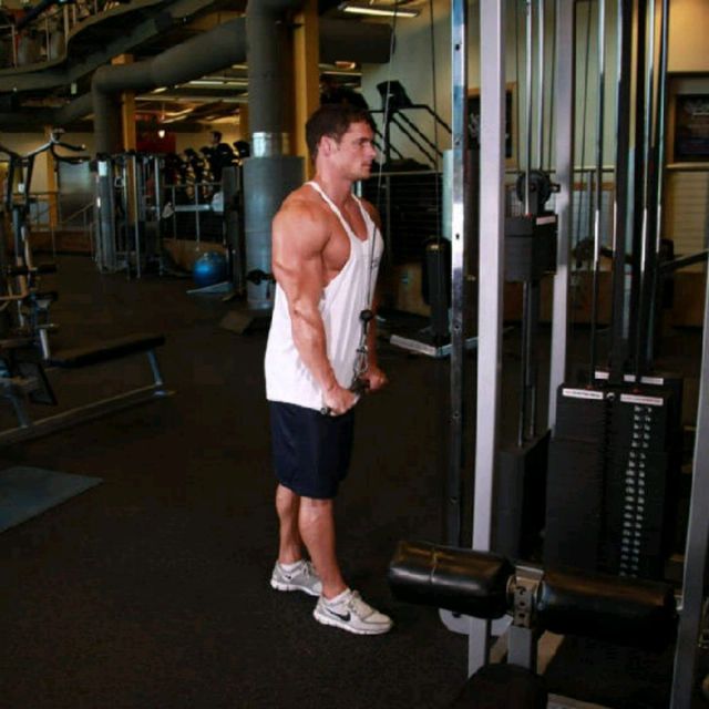 Cable Tricep Pull Down por Elisabetta Bruno - Ejercicio Cómo hacerlo ...