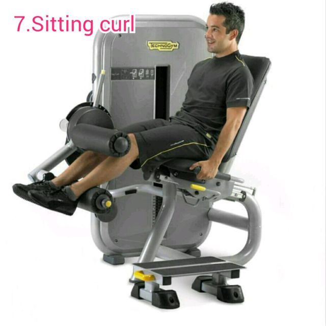 Sitting curl 15/20 Kg by Ernestina R. - Exercise How-to - Skimble