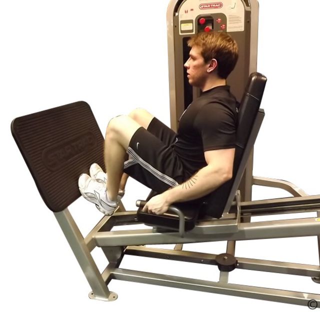 Calf Press by Ryan Miller - Exercise How-to - Skimble