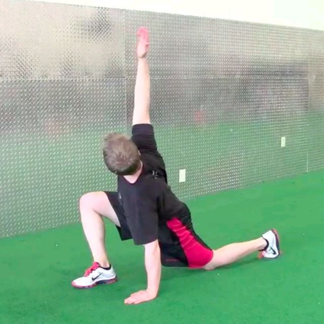 Spider Lunges - Exercise How-to - Workout Trainer by Skimble