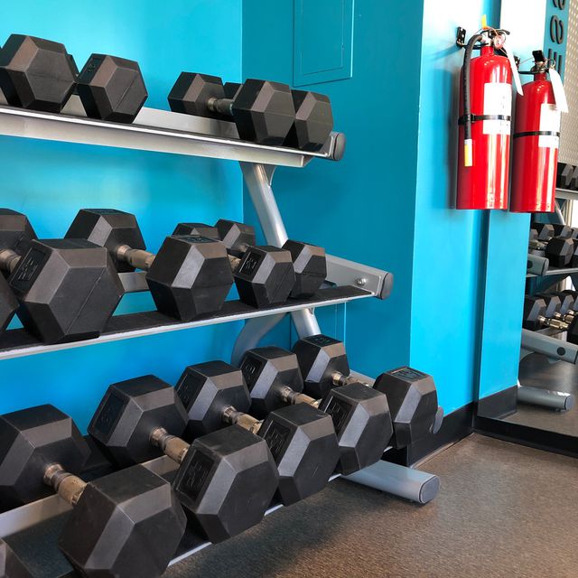 Set Up by Paul Sholar - Exercise How-to - Skimble Workout Trainer