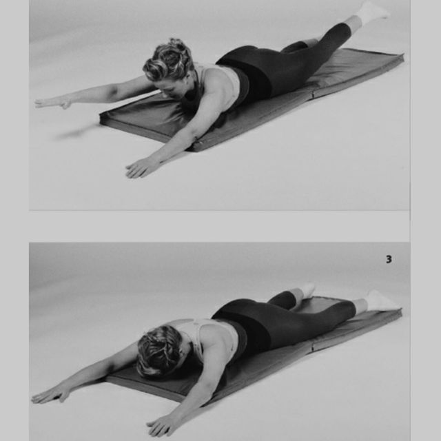 Arm And Leg Lifts by S K. - Exercise How-to - Skimble