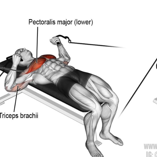 Left Cable Press by Paul Sholar - Exercise How-to - Skimble