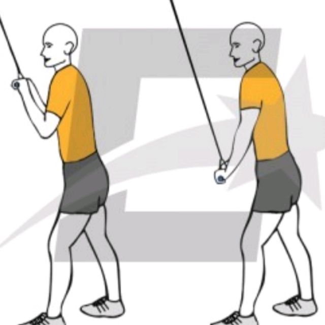 Triceps Polea Alta by Xexu Lara - Ejercicio Cómo hacerlo - Skimble