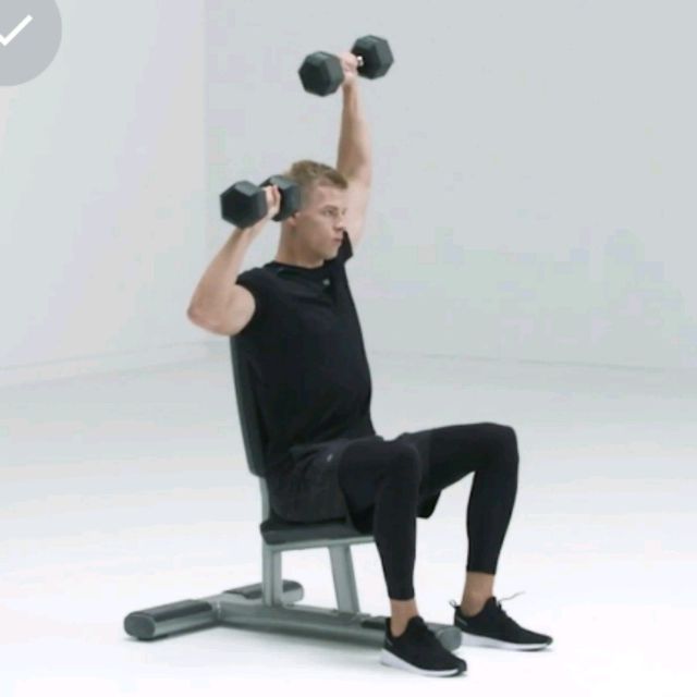 Seated Alternating Dumbbell Press by Bernadette Cordeau - Exercise How ...