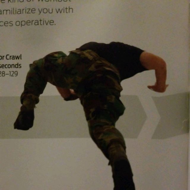 Alligator Crawl - Exercise How-to - Workout Trainer by Skimble