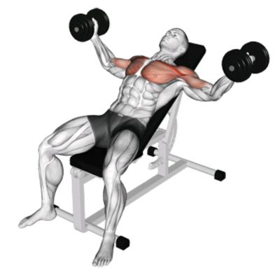 Cable Crossover - Exercise How-to - Workout Trainer by Skimble