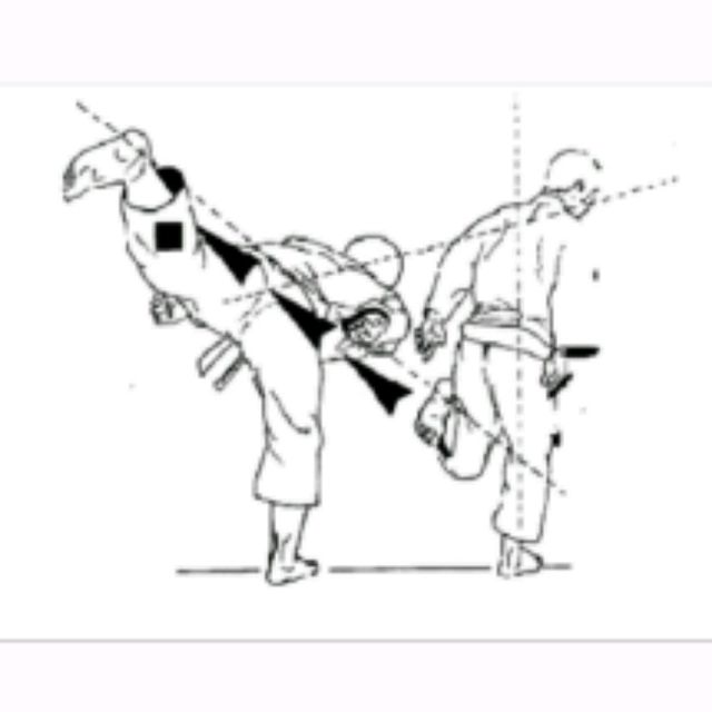 Direct Back Kick (Ushiro Geri) by Bernadette C. - Exercise How-to - Skimble