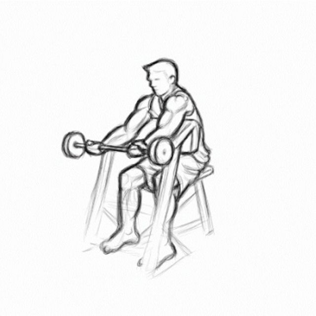 Preacher Curls by Enver Aydin - Exercise How-to - Skimble