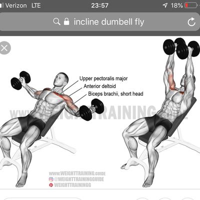 40 Yard Shuttle Run - Exercise How-to - Skimble