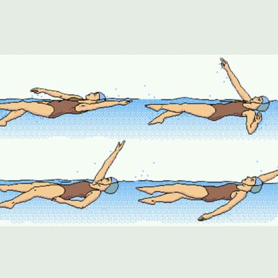 Backstroke Swimming Technique - 《LU •° - Top Moderate Workout by ...