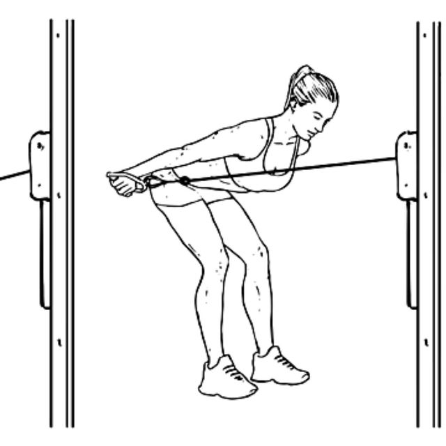 Cable Tricep Kickback 通过 Silas Eisenback - 锻炼方法 - Skimble