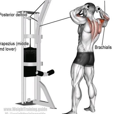 Scarecrow Extensions 通过 Tabitha Moore - 锻炼方法 - Skimble